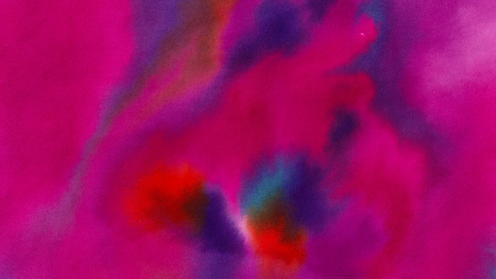 Toutes les infos pour déclarer vos oeuvres - La Scam Belgique