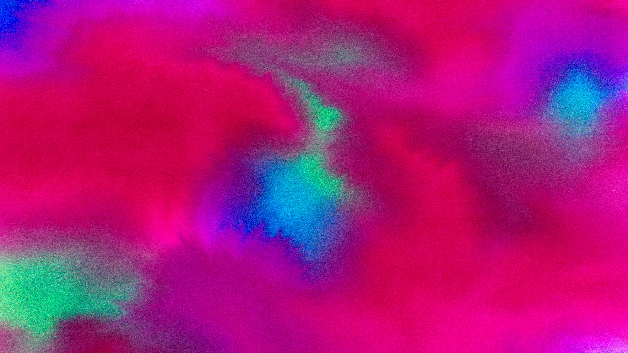 Histoire de la Scam - La Scam Belgique